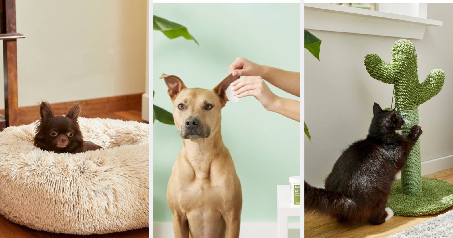 25 Pet Products From Chewy That Are Affordable And Practical