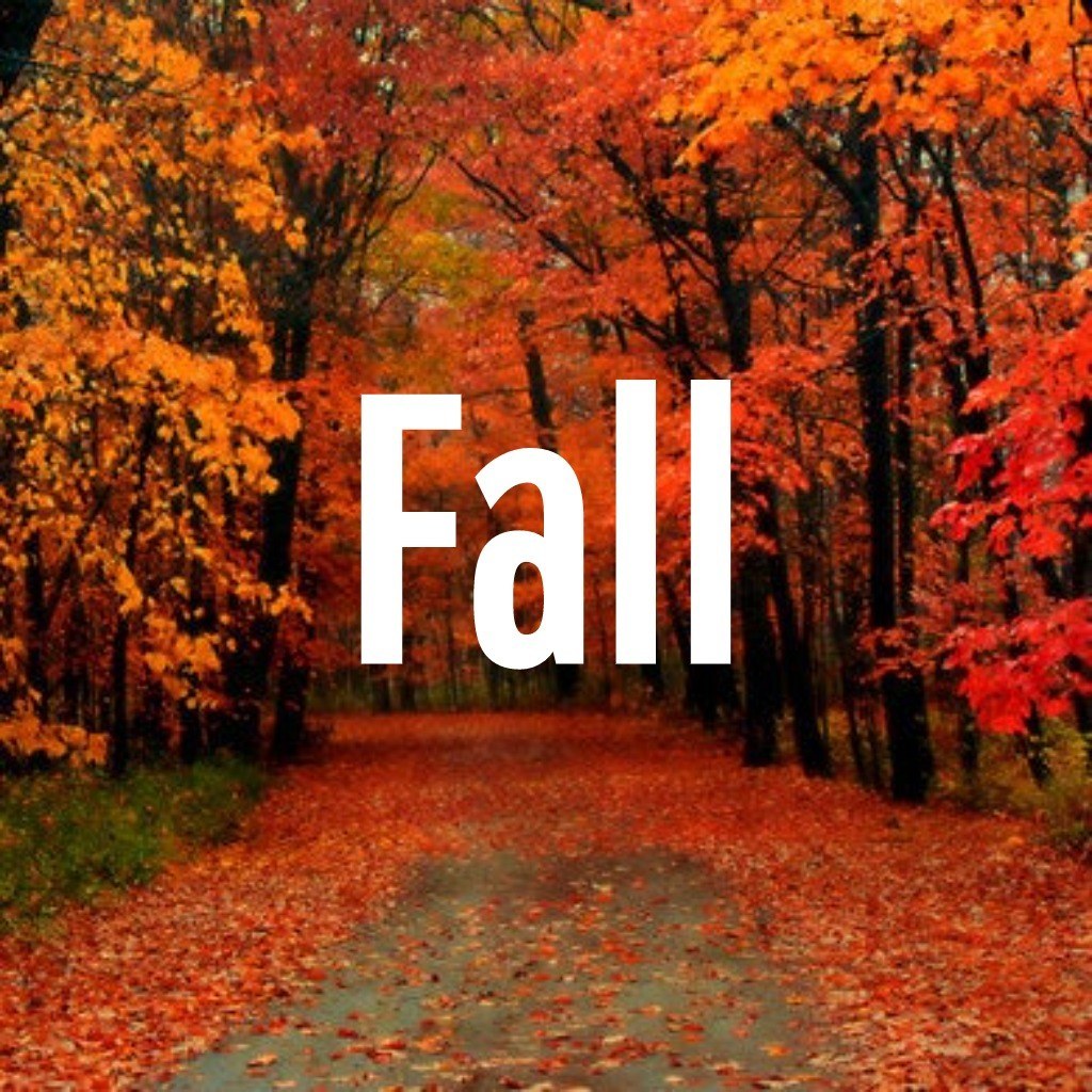Which Season Is The Best: Summer Or Fall? Poll Quiz