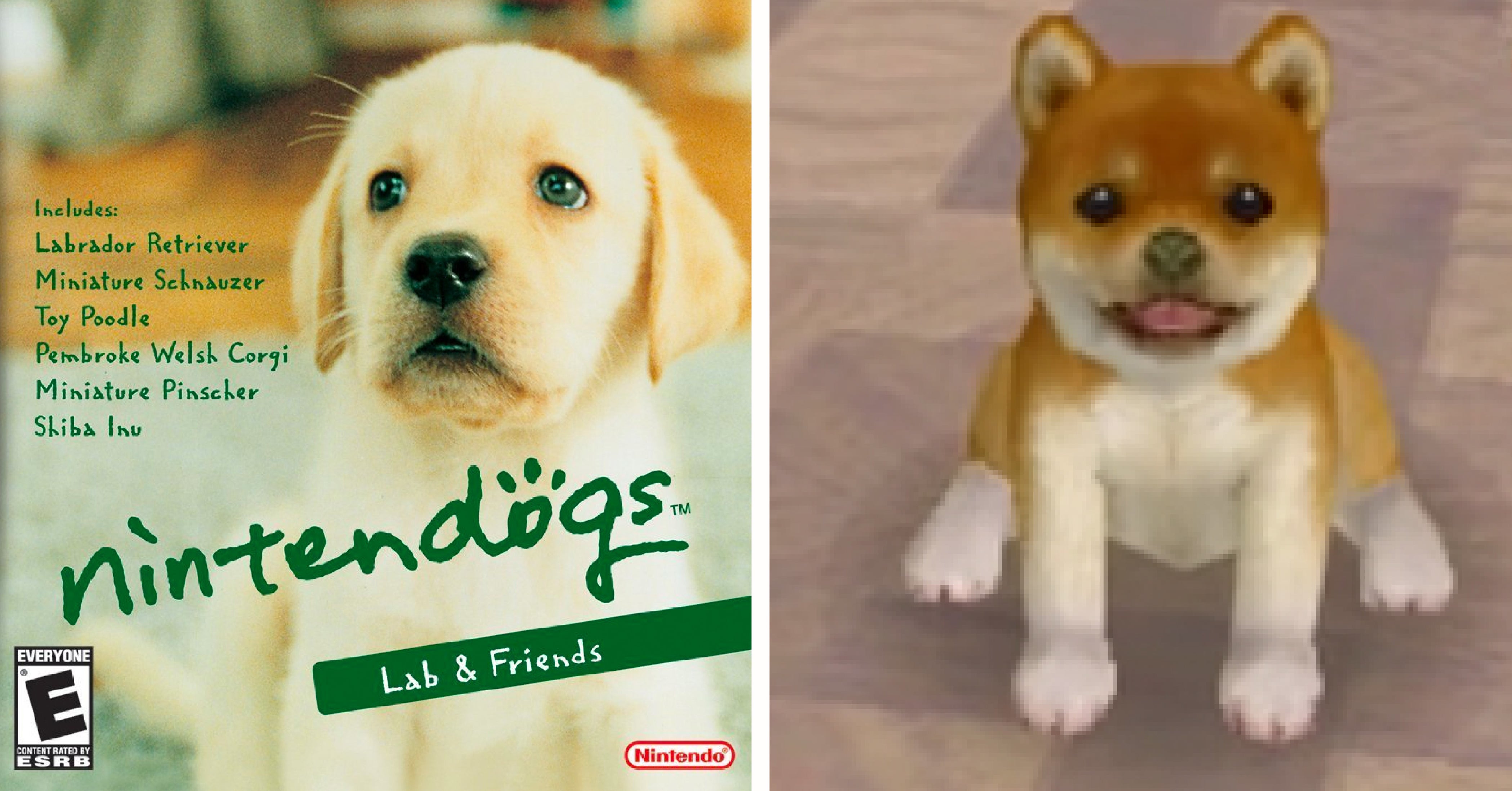 Nintendogs Memes
