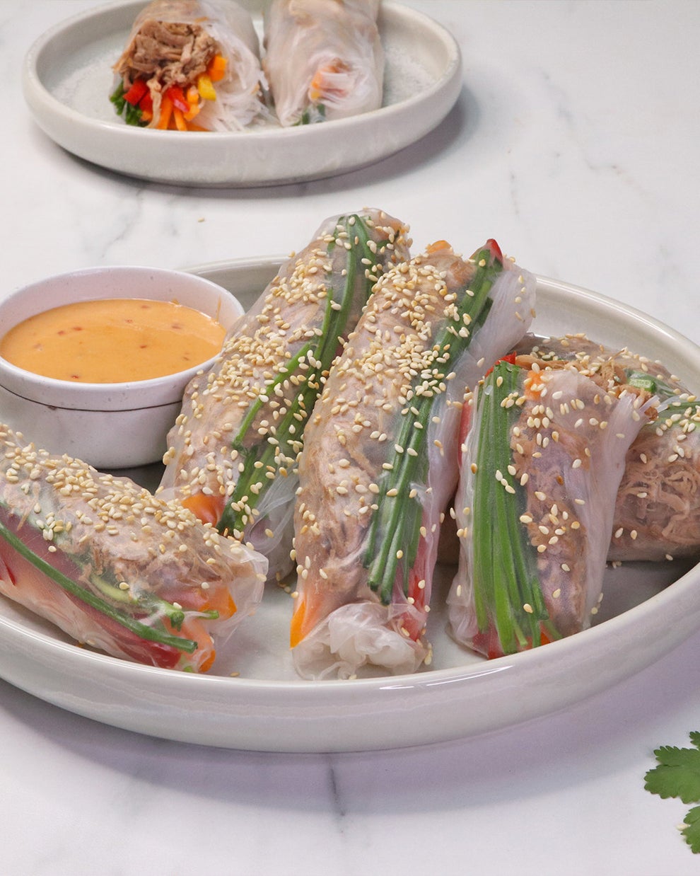 Pulled Pork Rice Paper Rolls