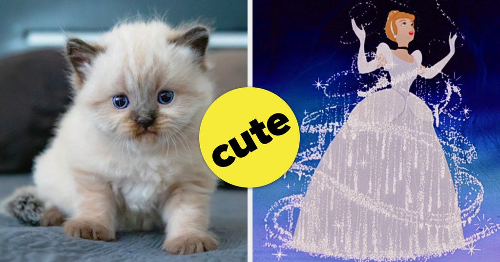 Choose Some Animals And Get A Disney Classic To Watch