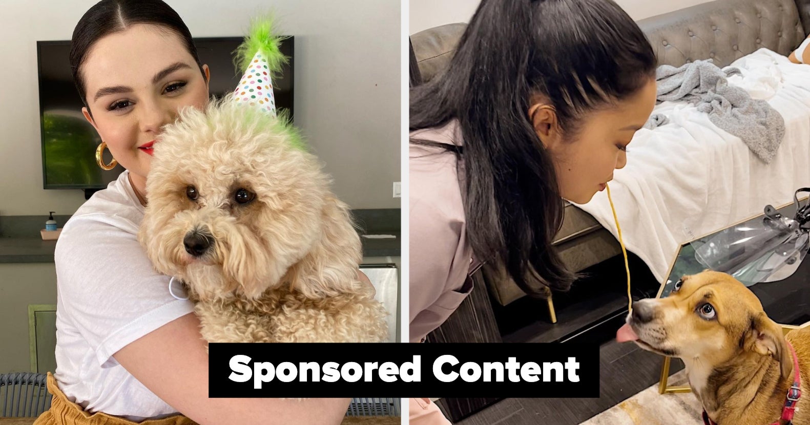 25 Times Celebrities And Their Dogs Were Totally Relatable