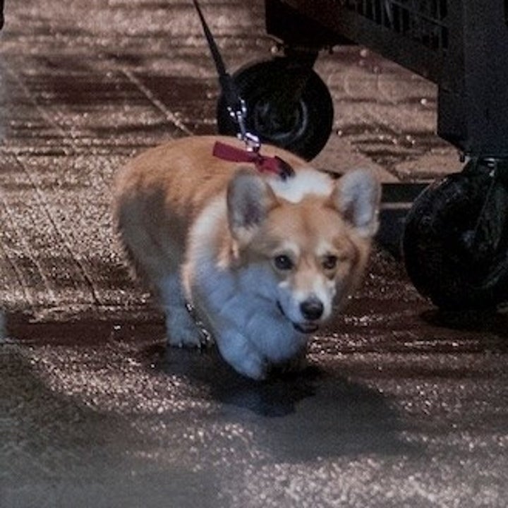 First Live-Action Cowboy Bebop Photos Look Amazing