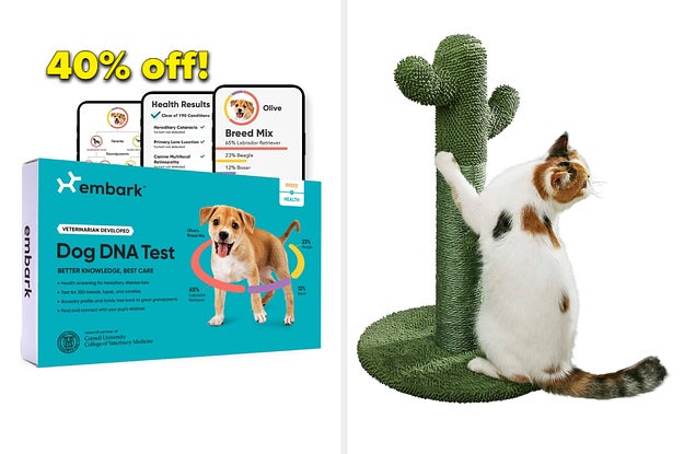 Pet Prime Day Deals Both You And Your Pets Will Love