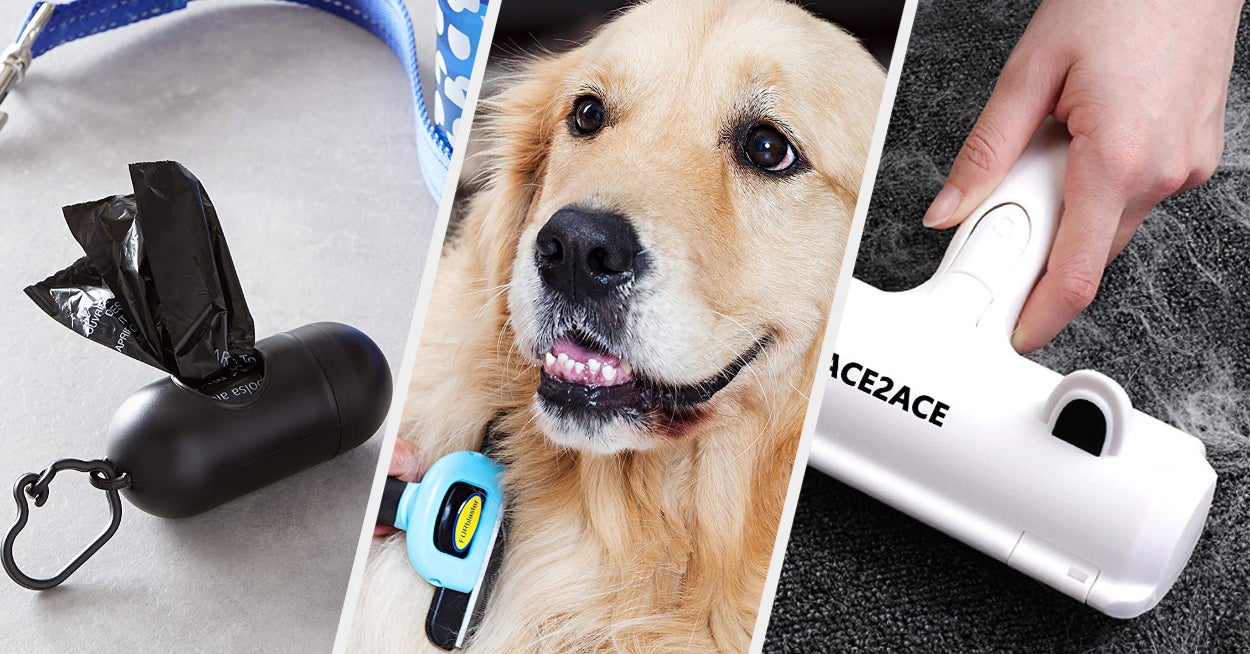 30 Products That Make Cleaning Up After Your Pet Way Easier