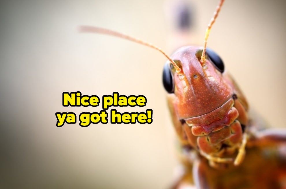 27 HR Nightmares At Work That Could've Been Prevented