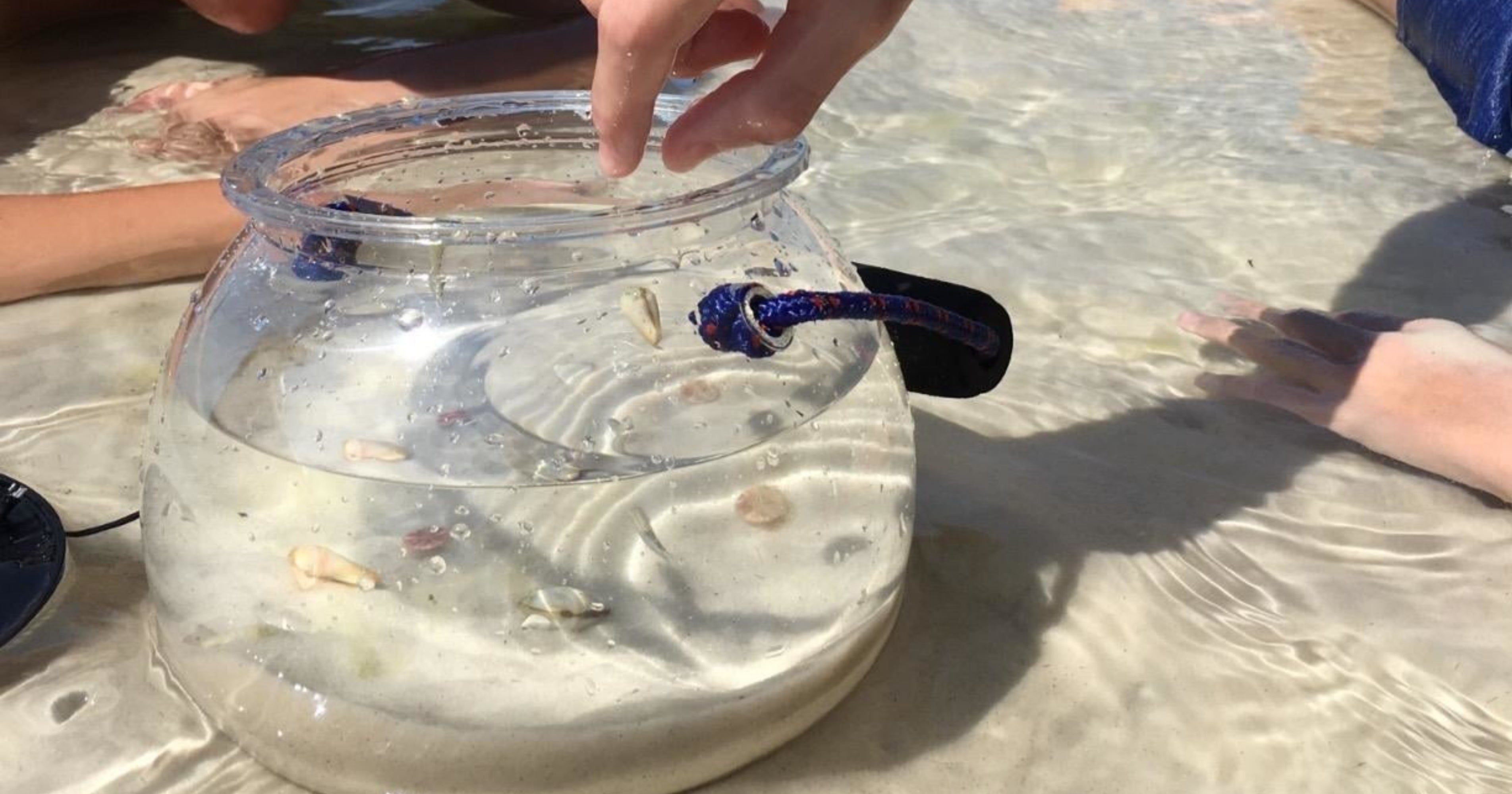 35 Entertaining Things For Anyone Who Needs Some Excitement In Their Life