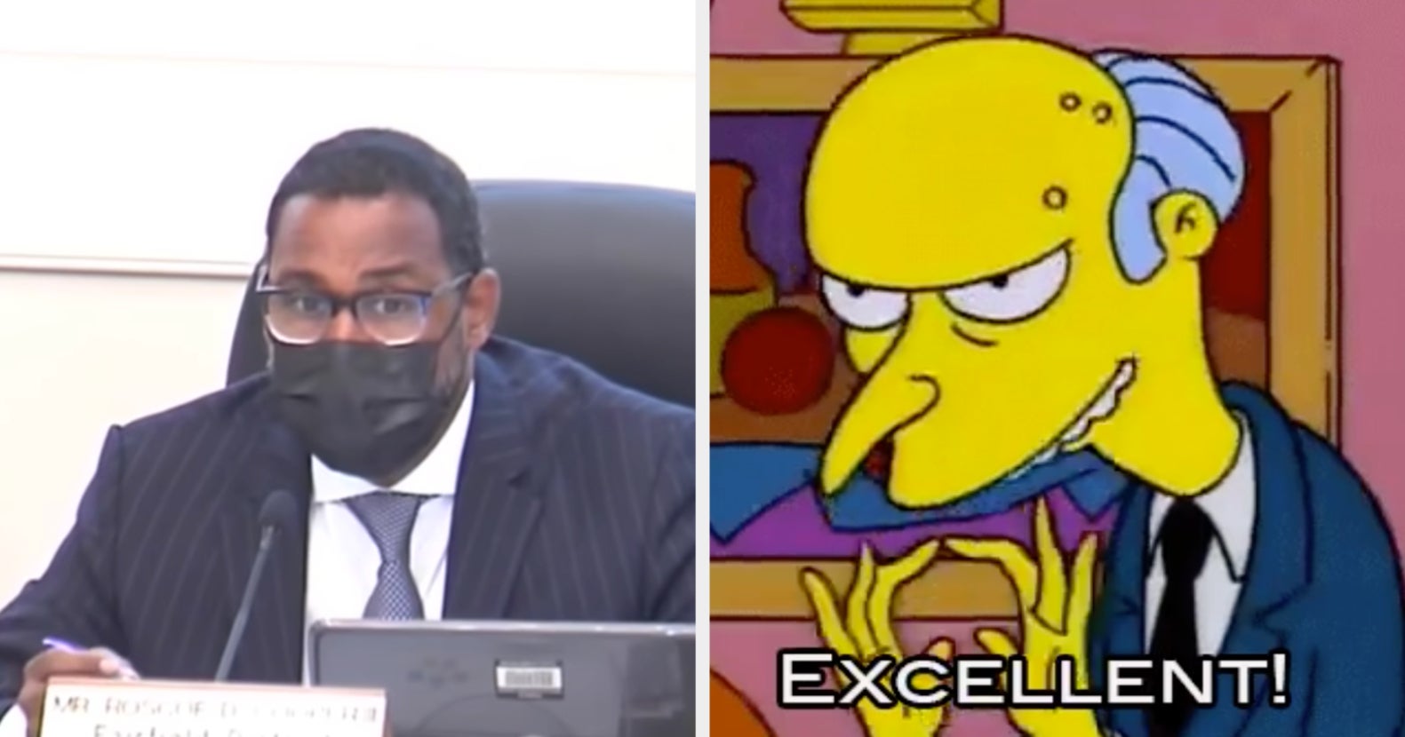 Simpsons Prank During Virginia School Board Meeting