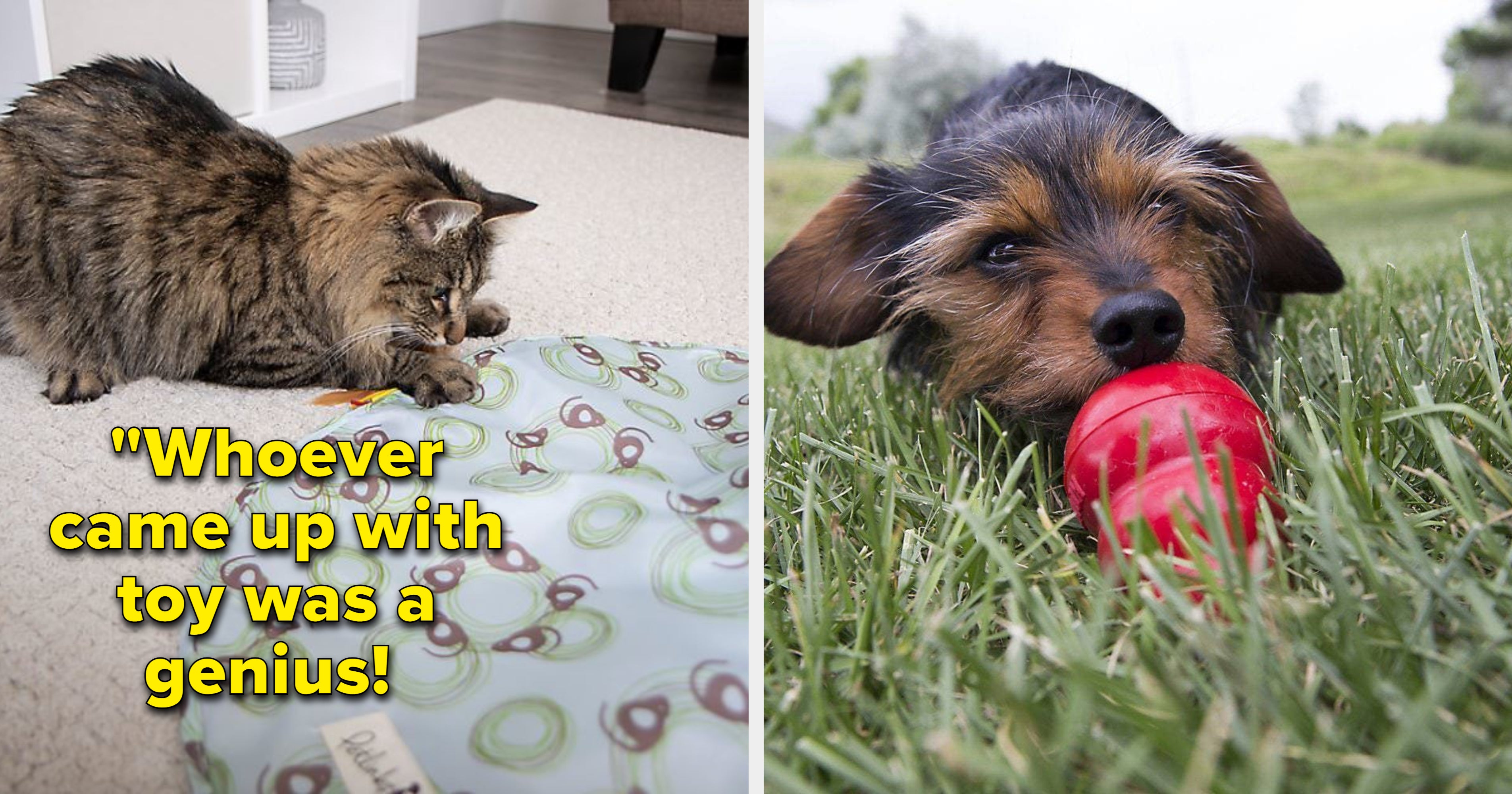 Pet Toys On PetSmart That People Actually Swear By