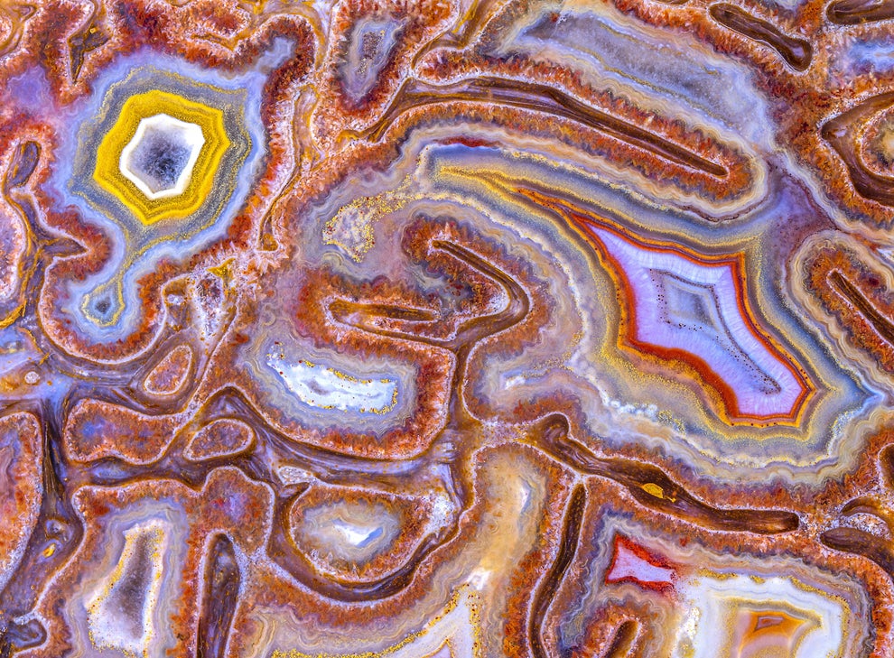 The Best Photos Taken Through Microscopes Will Blow You Away