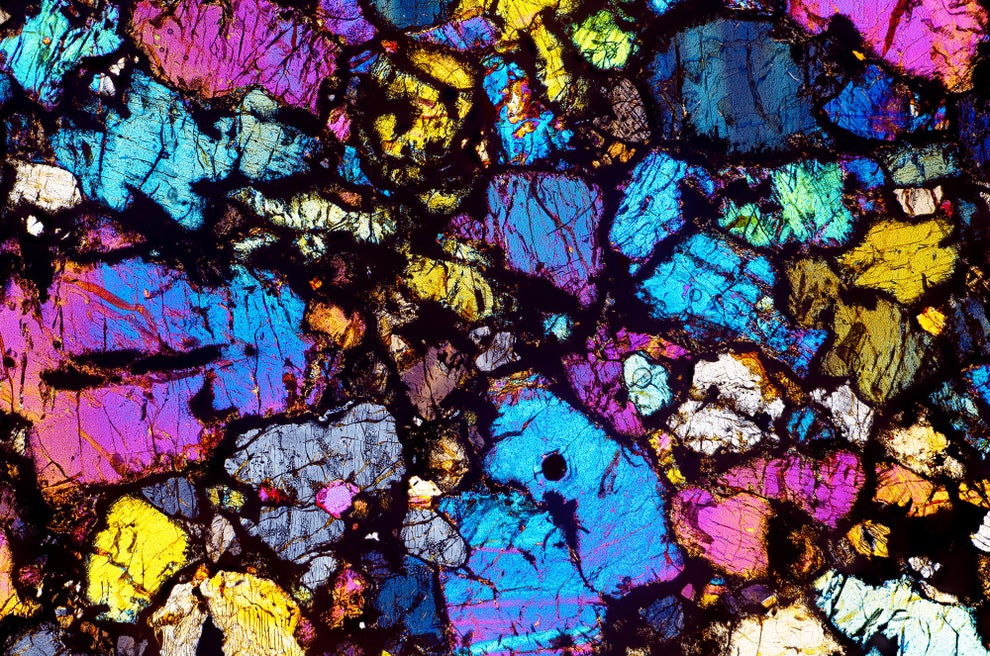 The Best Photos Taken Through Microscopes Will Blow You Away