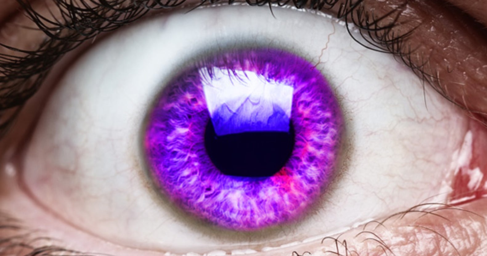 Purple Color Vision Test