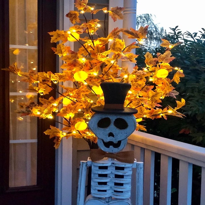 29 Decor Pieces That Scream "I Love Fall"