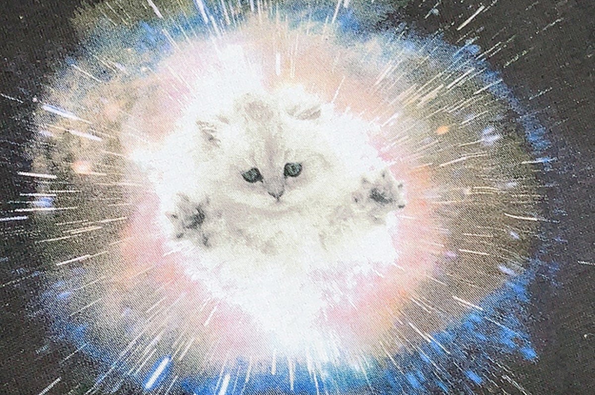 graniph インザスーパーノヴァ ねこ