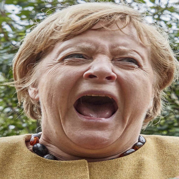 Angela Merkel & Birds Now A Funny Meme
