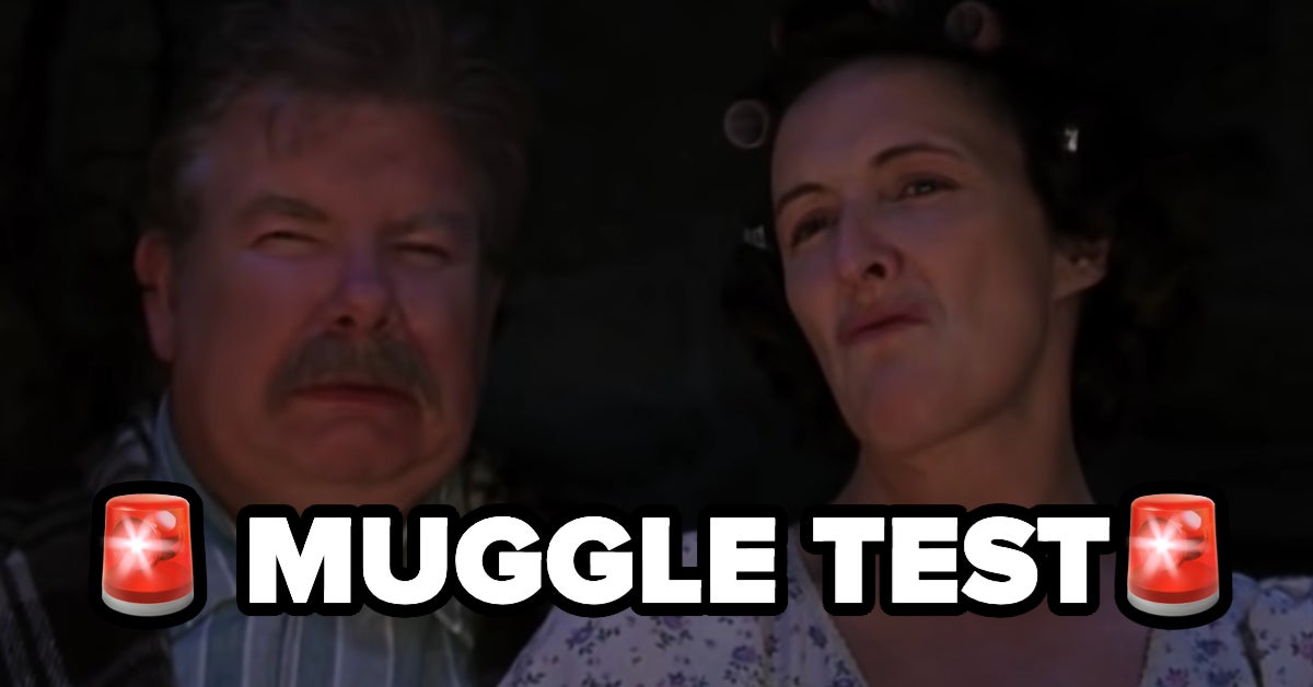 Are You A Muggle Or A Wizard?
