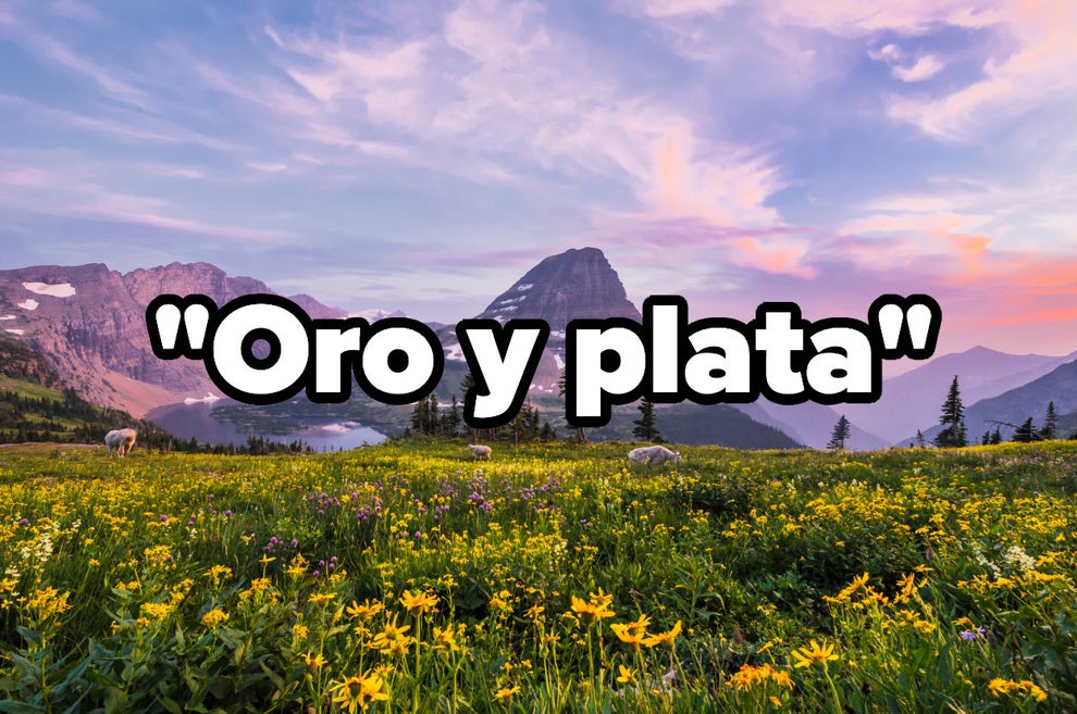 All 50 State Mottos Ranked