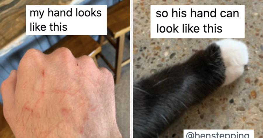 21 Tweets That Every Cat Owner Will Understand