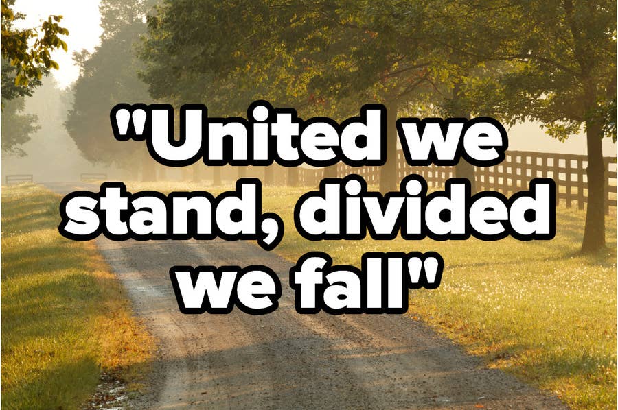 american state mottos