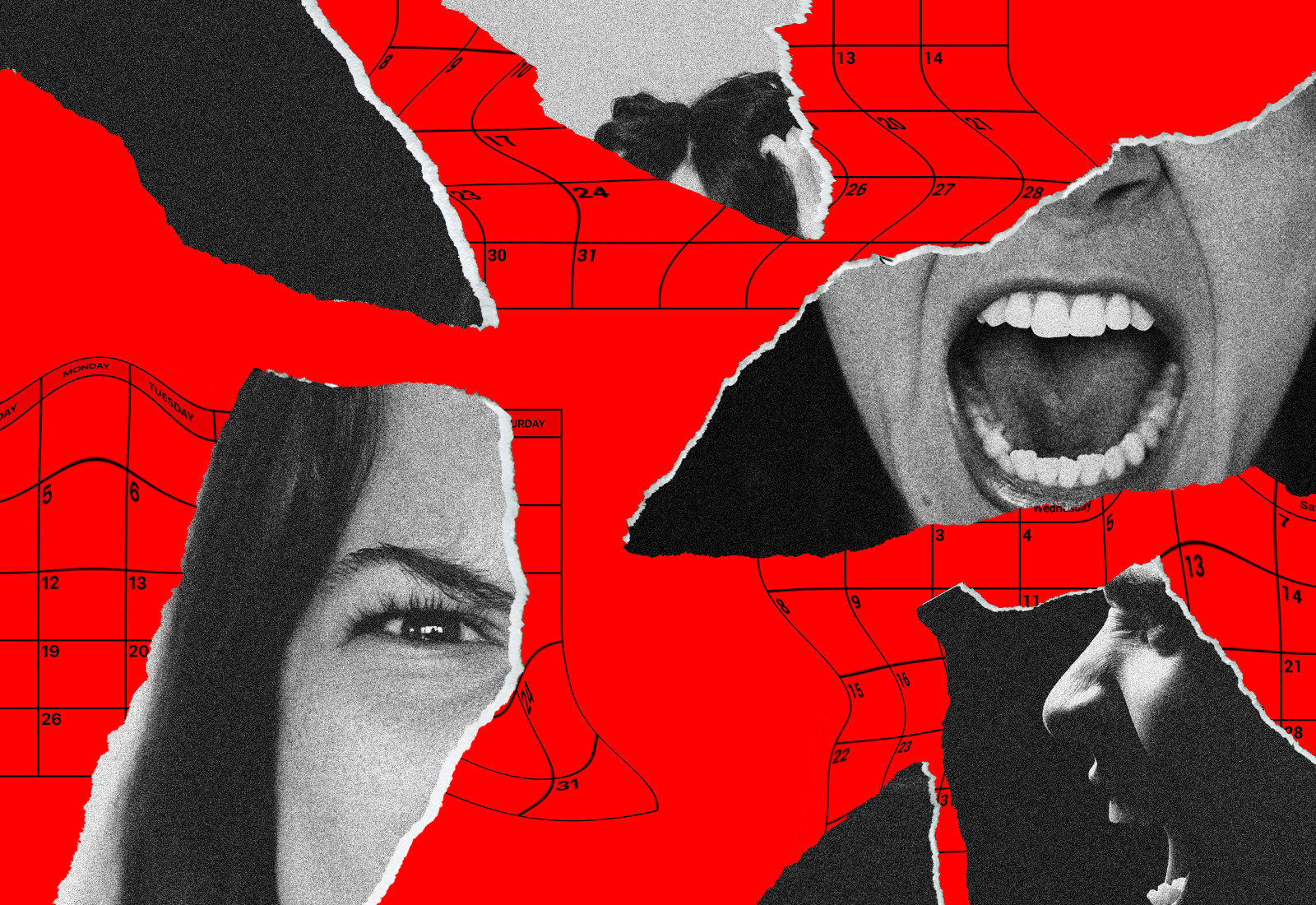 We Found Rage In A Hopeless Place