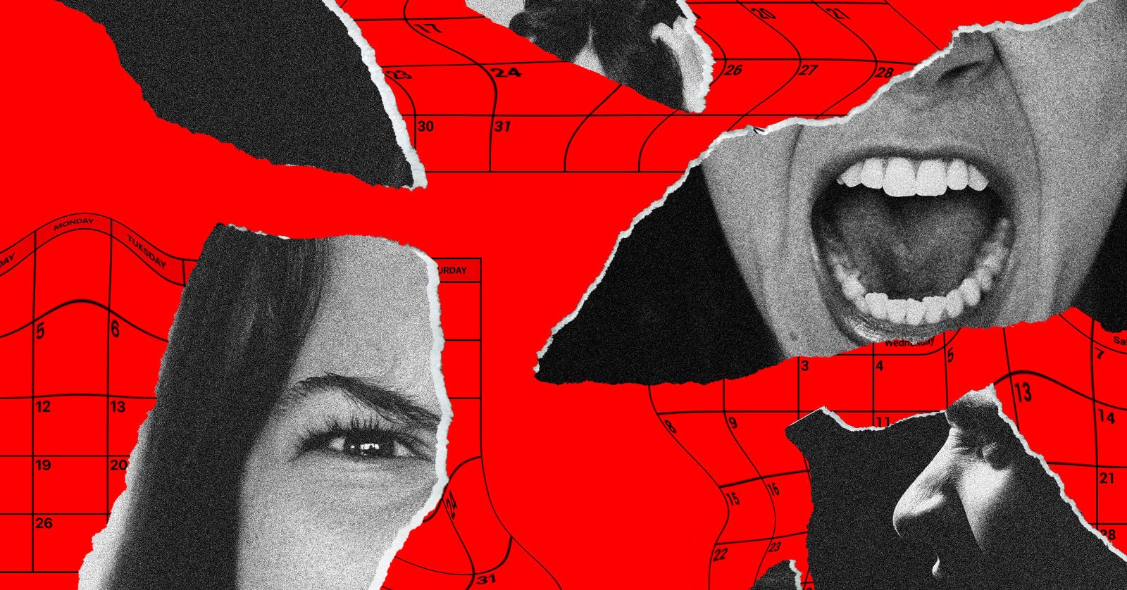 We Found Rage In A Hopeless Place