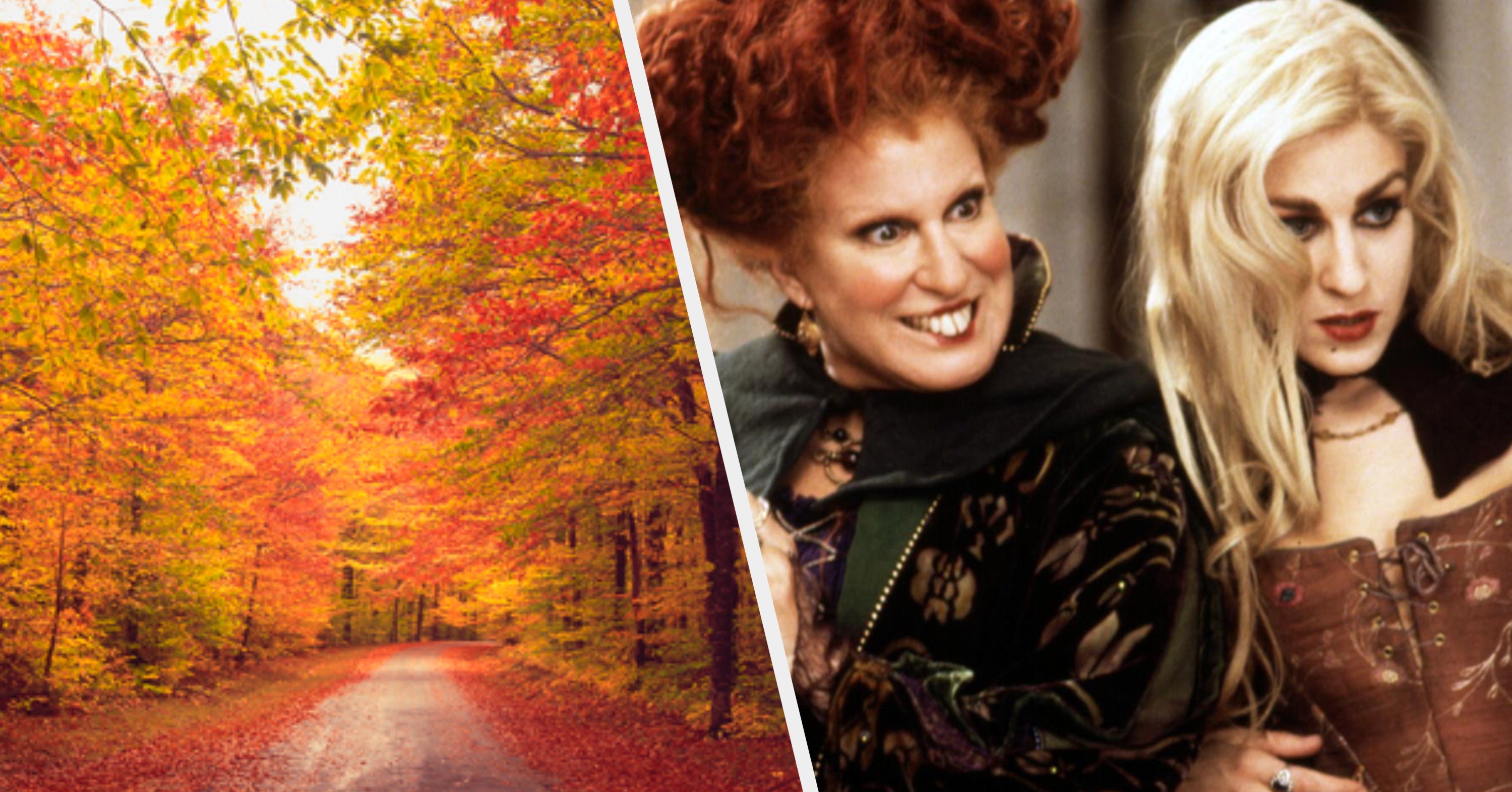 Plan A Fall Day To Reveal Your 2021 Halloween Costume