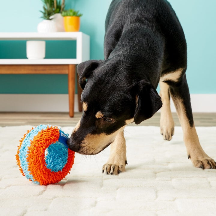 27 Chewy Products Youll Gush About To Your Friends