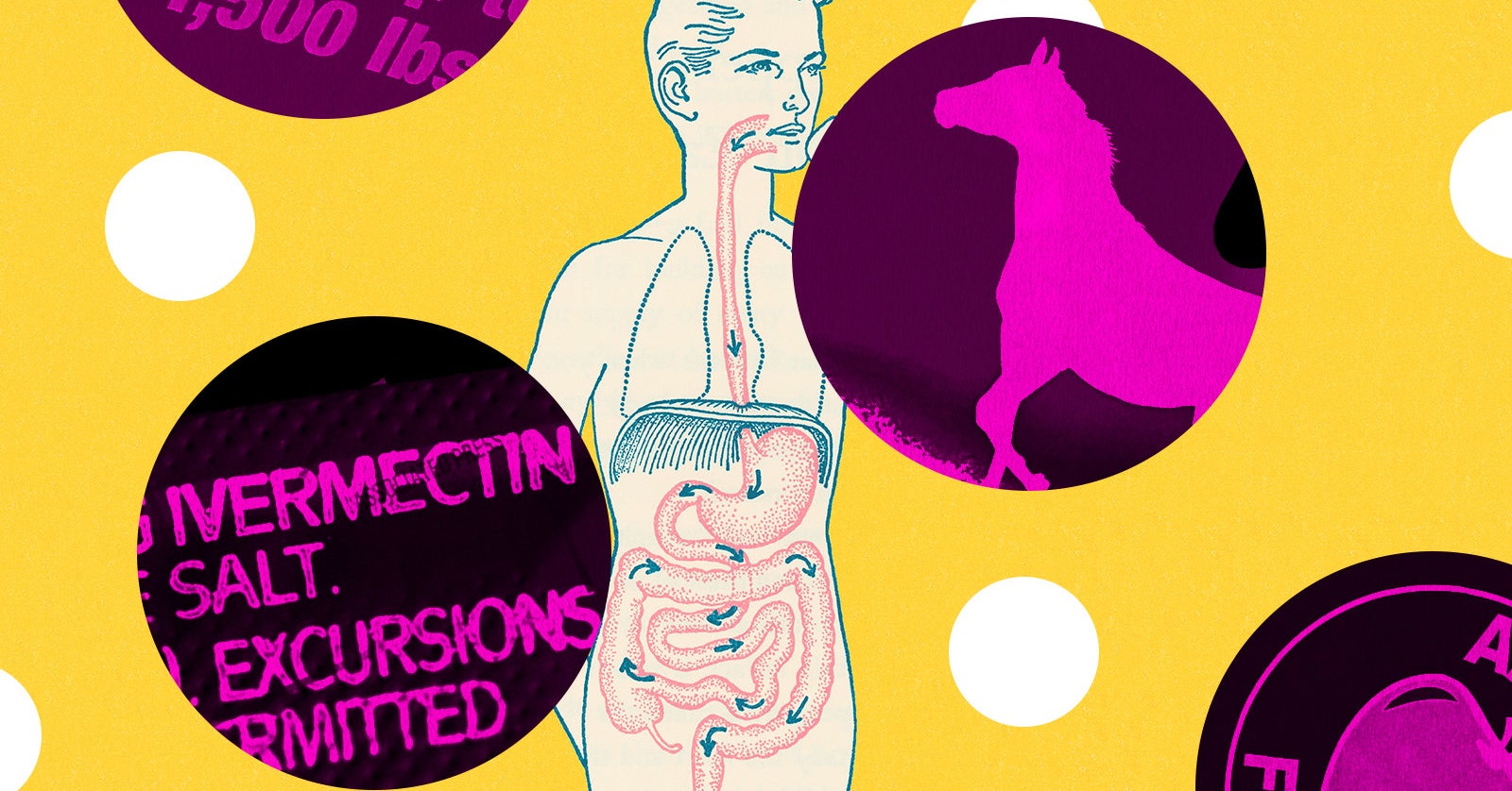 Ivermectin And COVID: 10 Side Effects And Risks