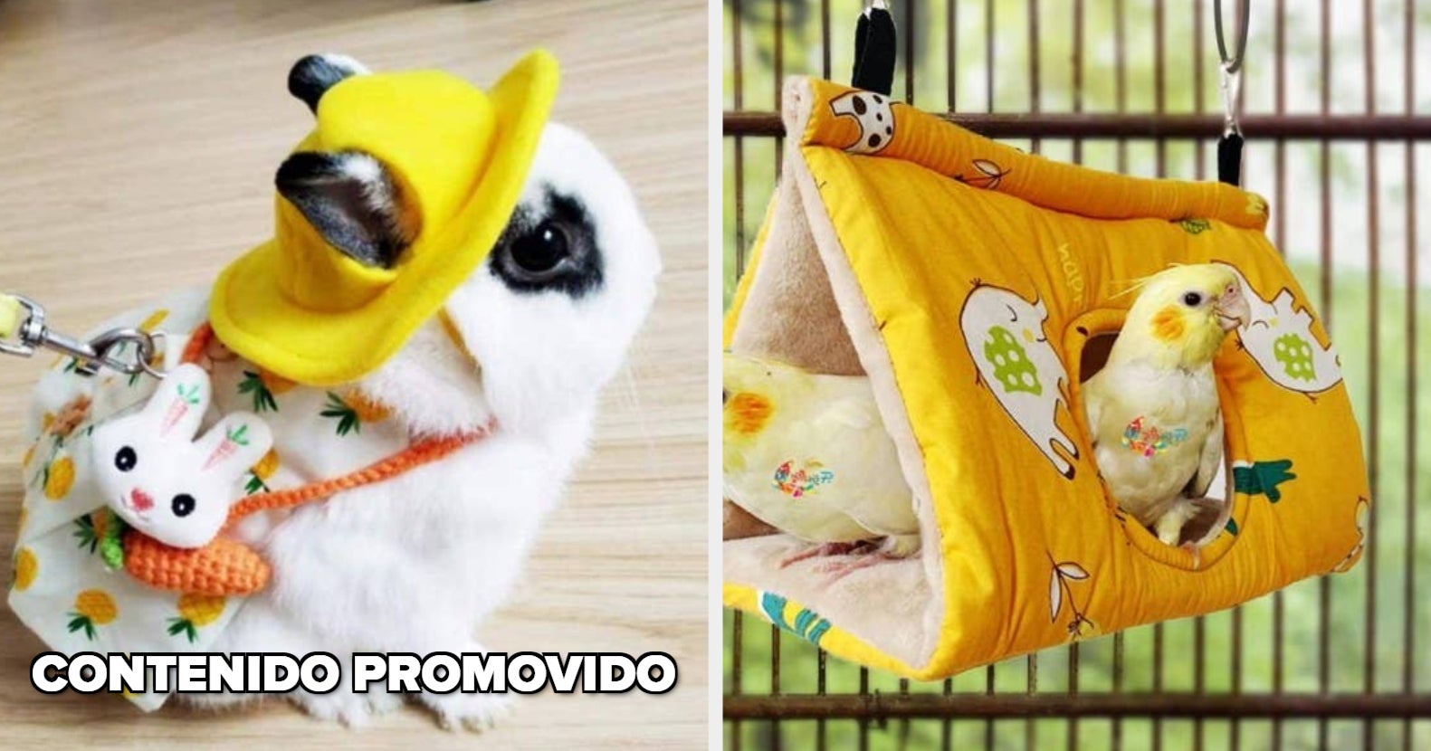 22 Cosas geniales y adorables para tus mascotas que no son ni perros ni ...