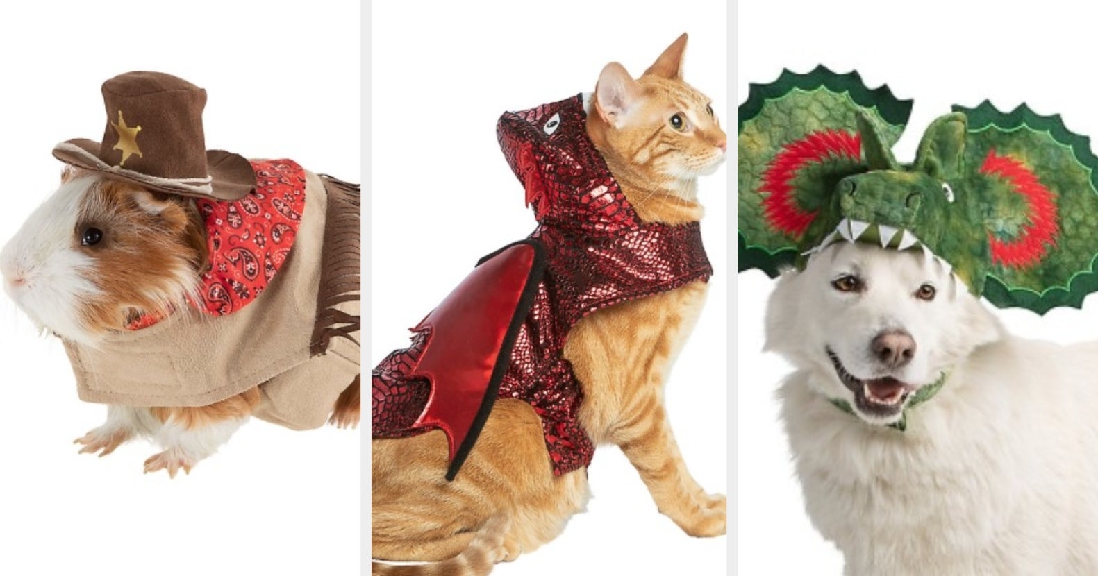 25 Pet Costumes From PetSmart That’ll Make This The Most Adorable ...