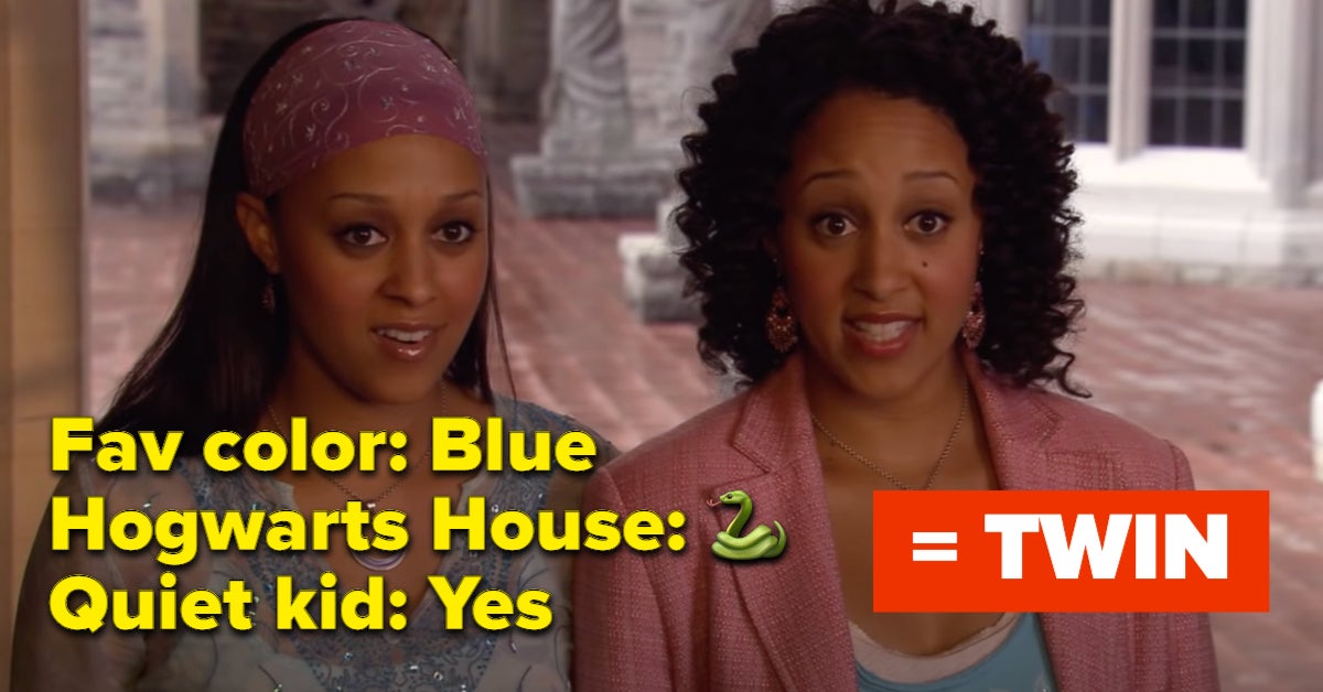 Could You Be My Secret Twin?