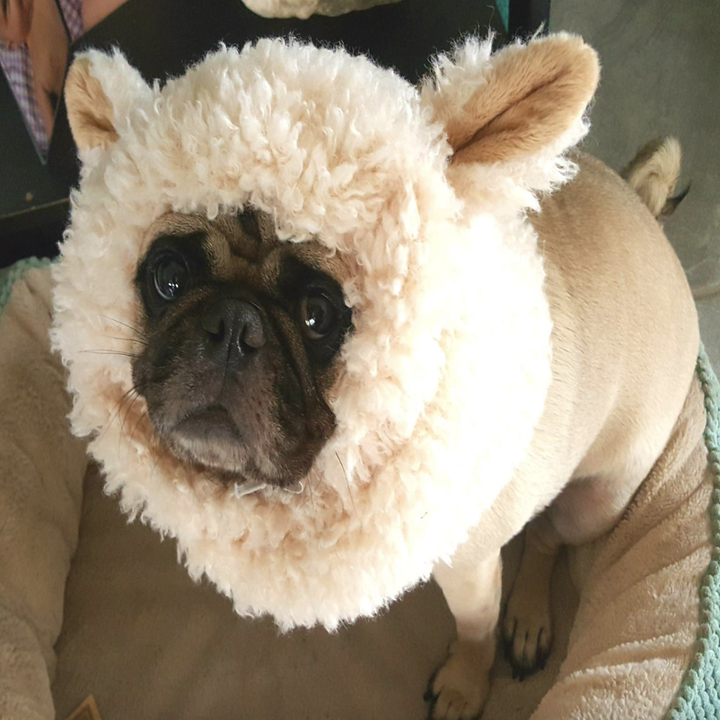 22 Halloween Costumes Everyone Will Be Talking About
