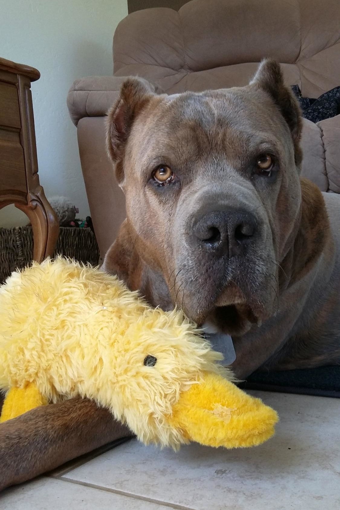 35 Great Products Under $20