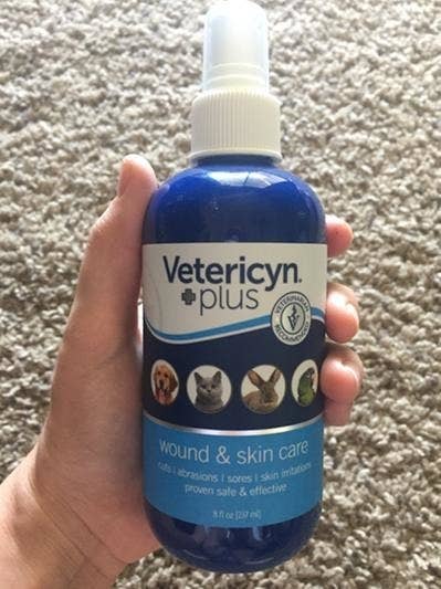 25 Helpful Chewy Things For Multi-Pet Households