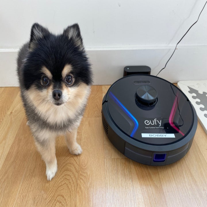 11 Best Robot Vacuums For Pet Hair (And Dirt And Dust)