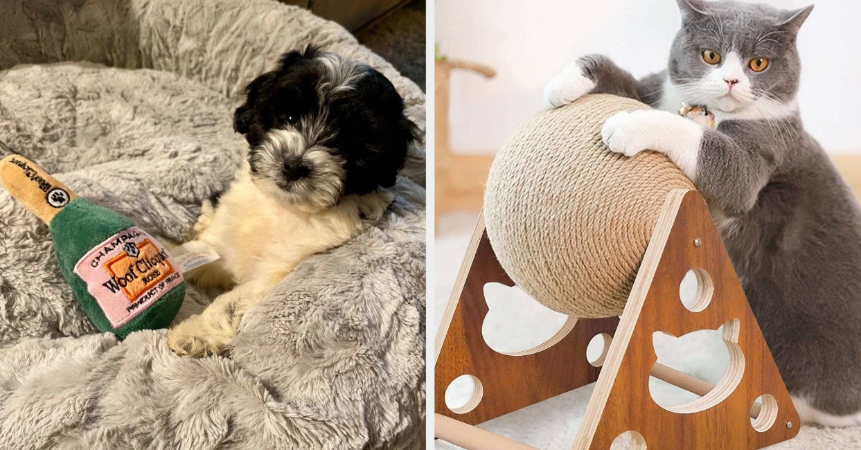 30 Fun Things To Buy Your Pet Just Because