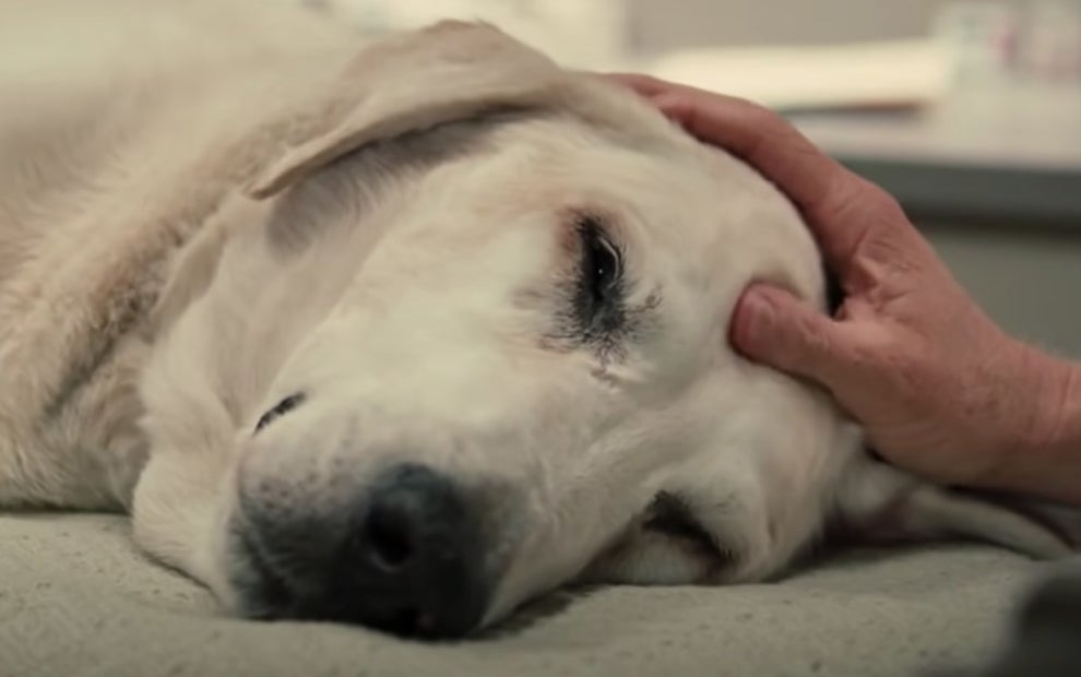 Scenes In Film That Destroyed Our Mind, Body, And Soul