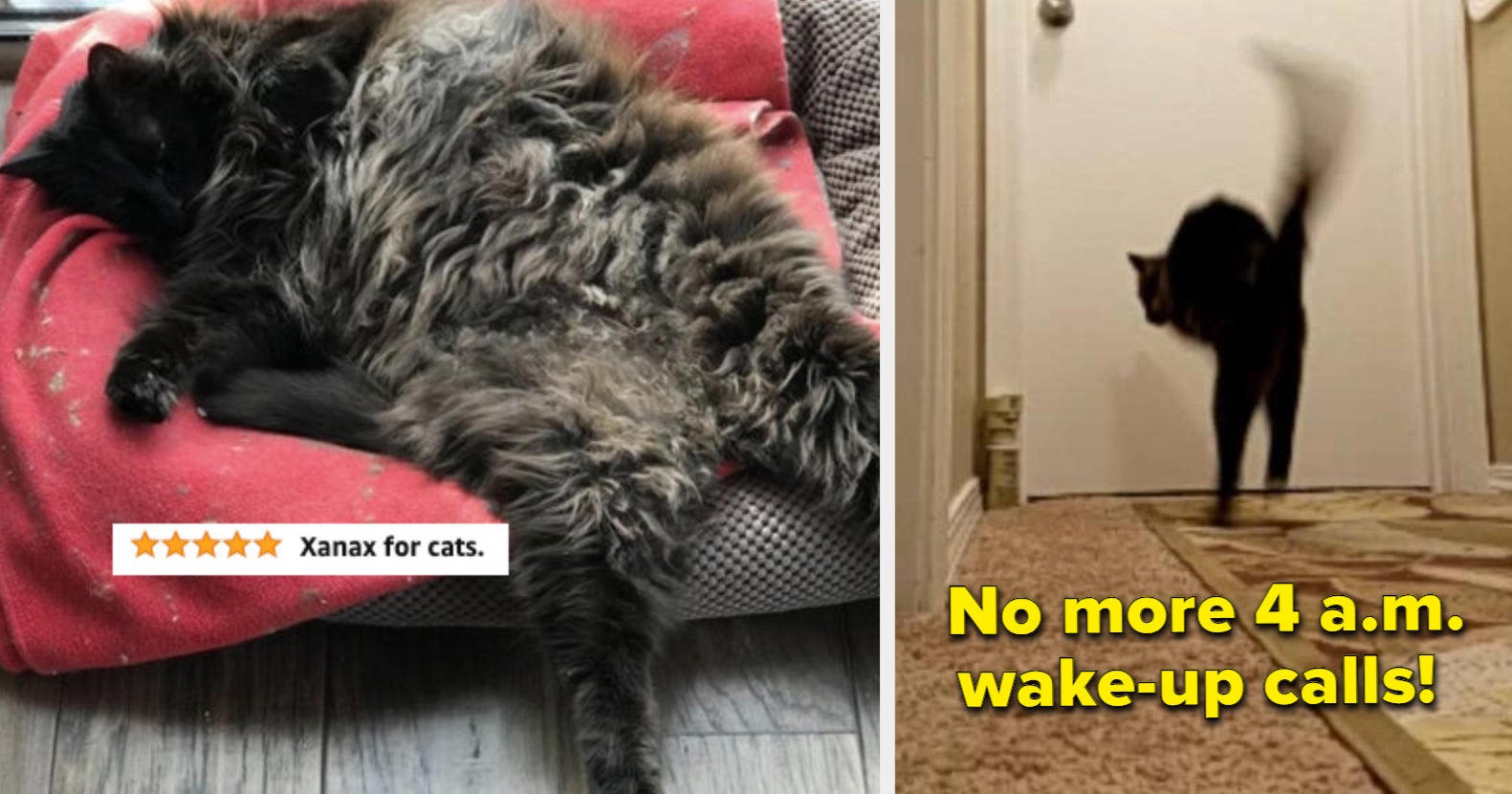 28 Problem-Solving Products For Annoying Cat Habits