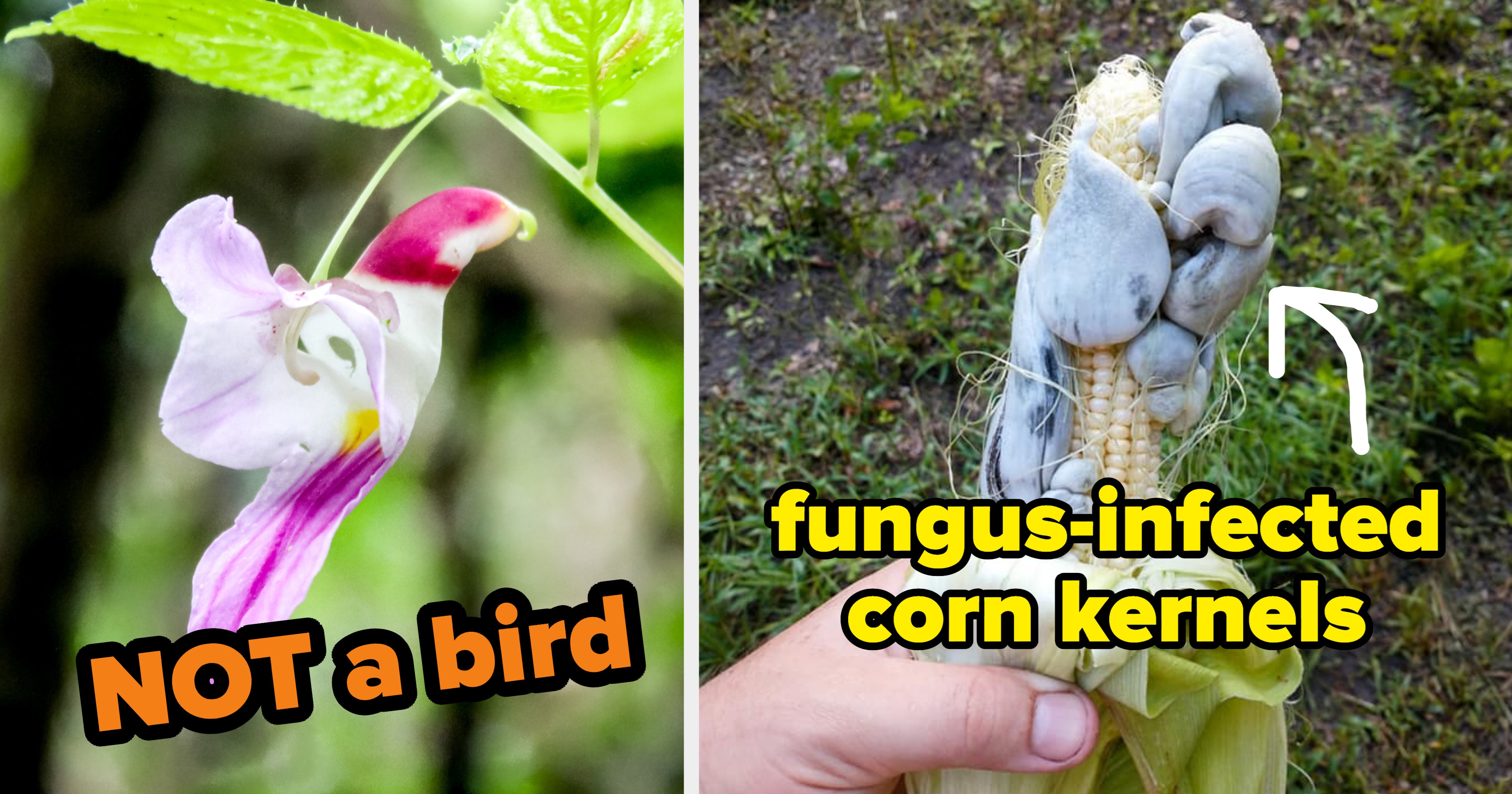 18 Photos That Will Scramble Your Brain