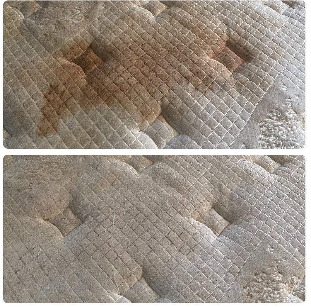 36 Products To Make Clean Freaks Cry Tears Of Joy