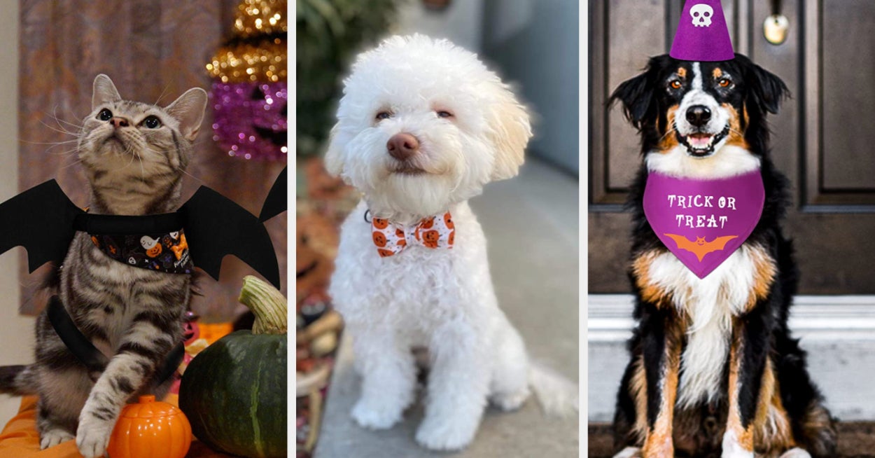 25 Halloween Outfits For Pets