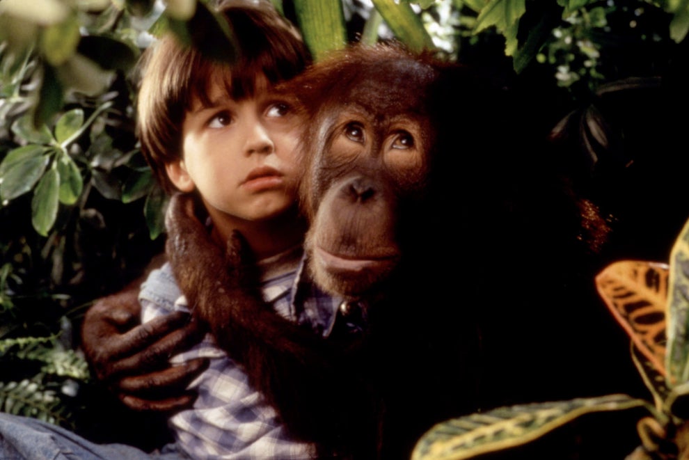 17 Animal Films That May Have Been Flops In The '90s, But Are Actually ...