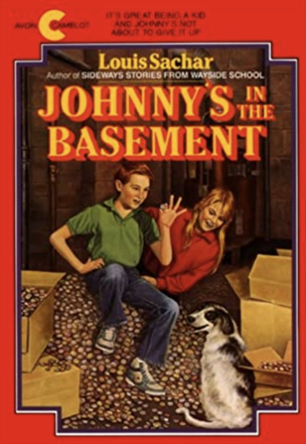 50 Forgotten '90s Kid Books That You'll Immediately Remember
