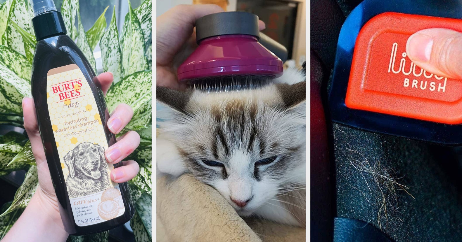 Best Messy Pet Products From Amazon Canada