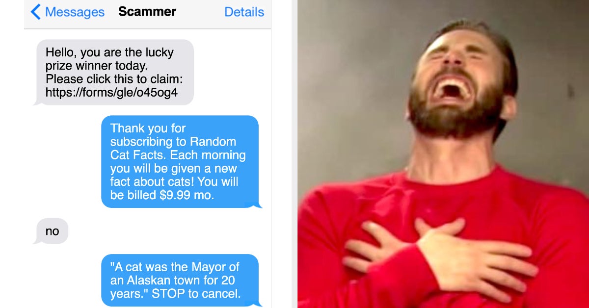50 Times People Absolutely Destroyed Scammers In The Most Satisfying ...