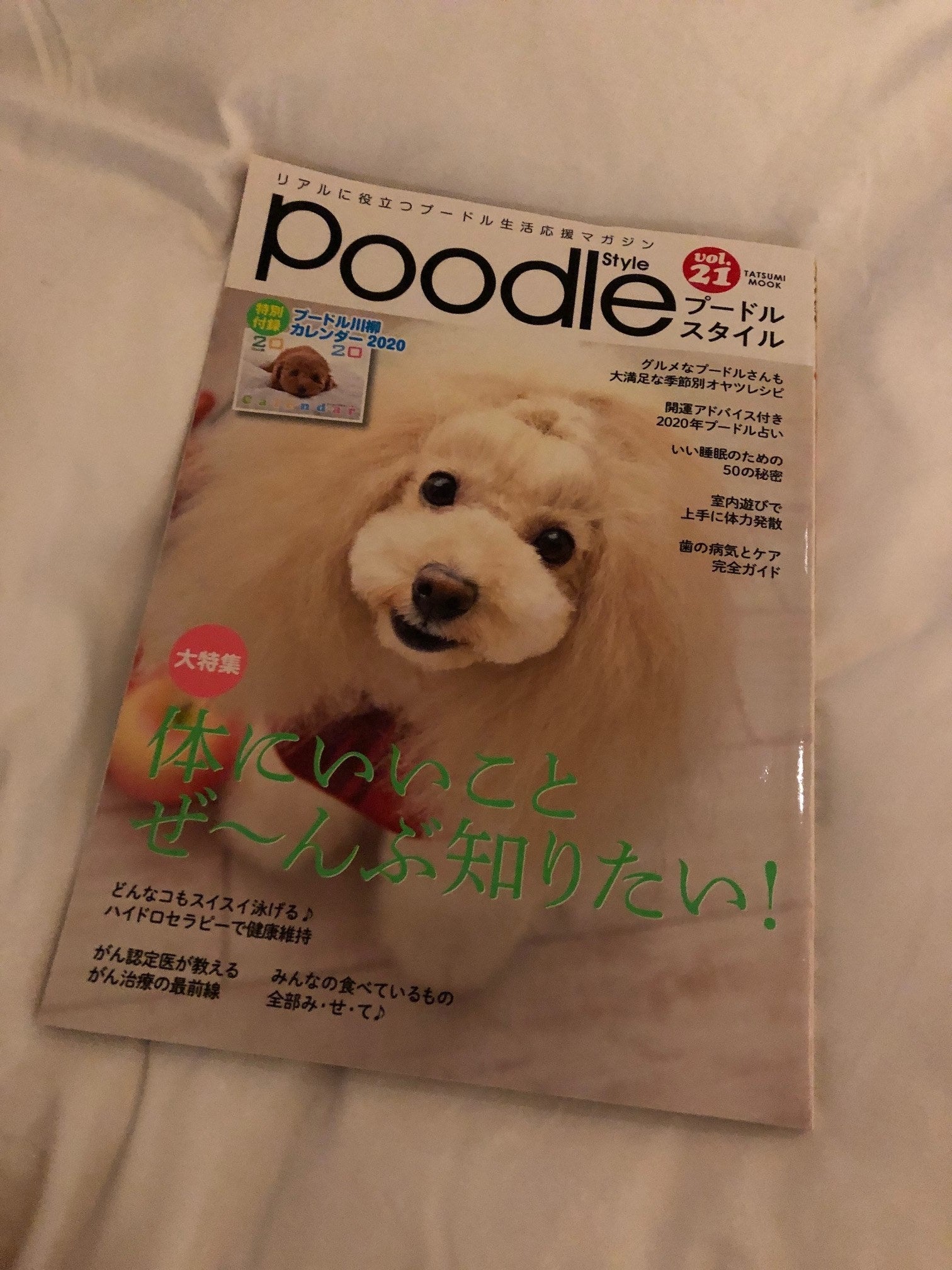 15 Things Japan Does Better Than The US