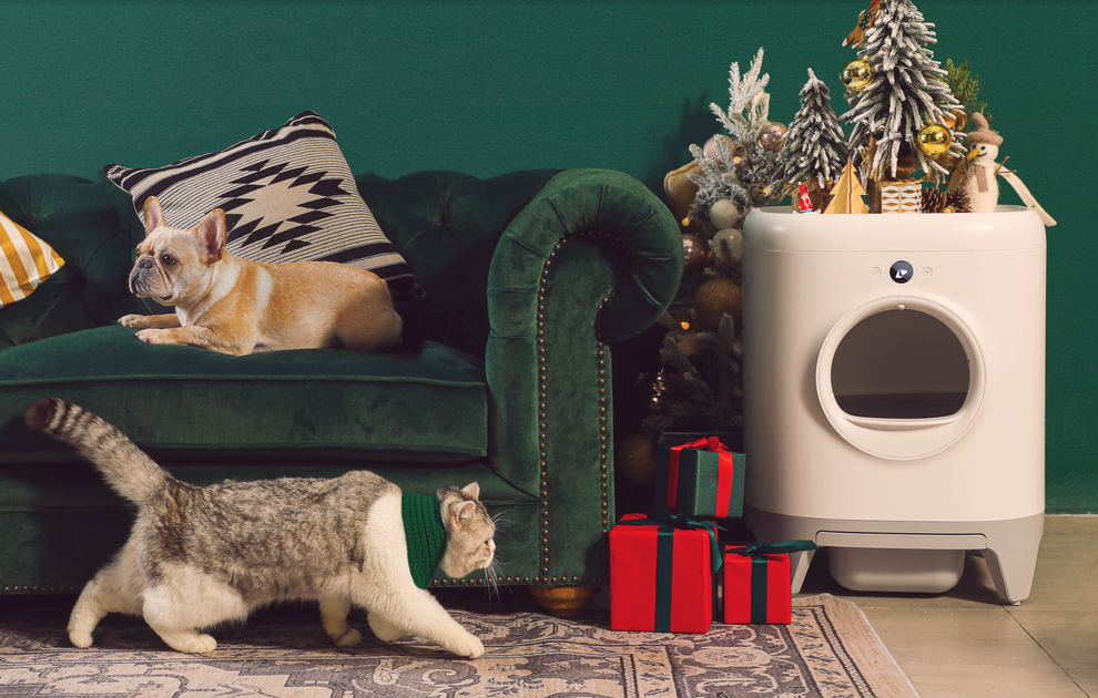8 Absolutely Purrfect Gifts For The Cat That Has It All