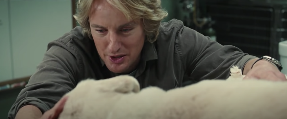 Sad And Shocking Movie Moments In The Theater