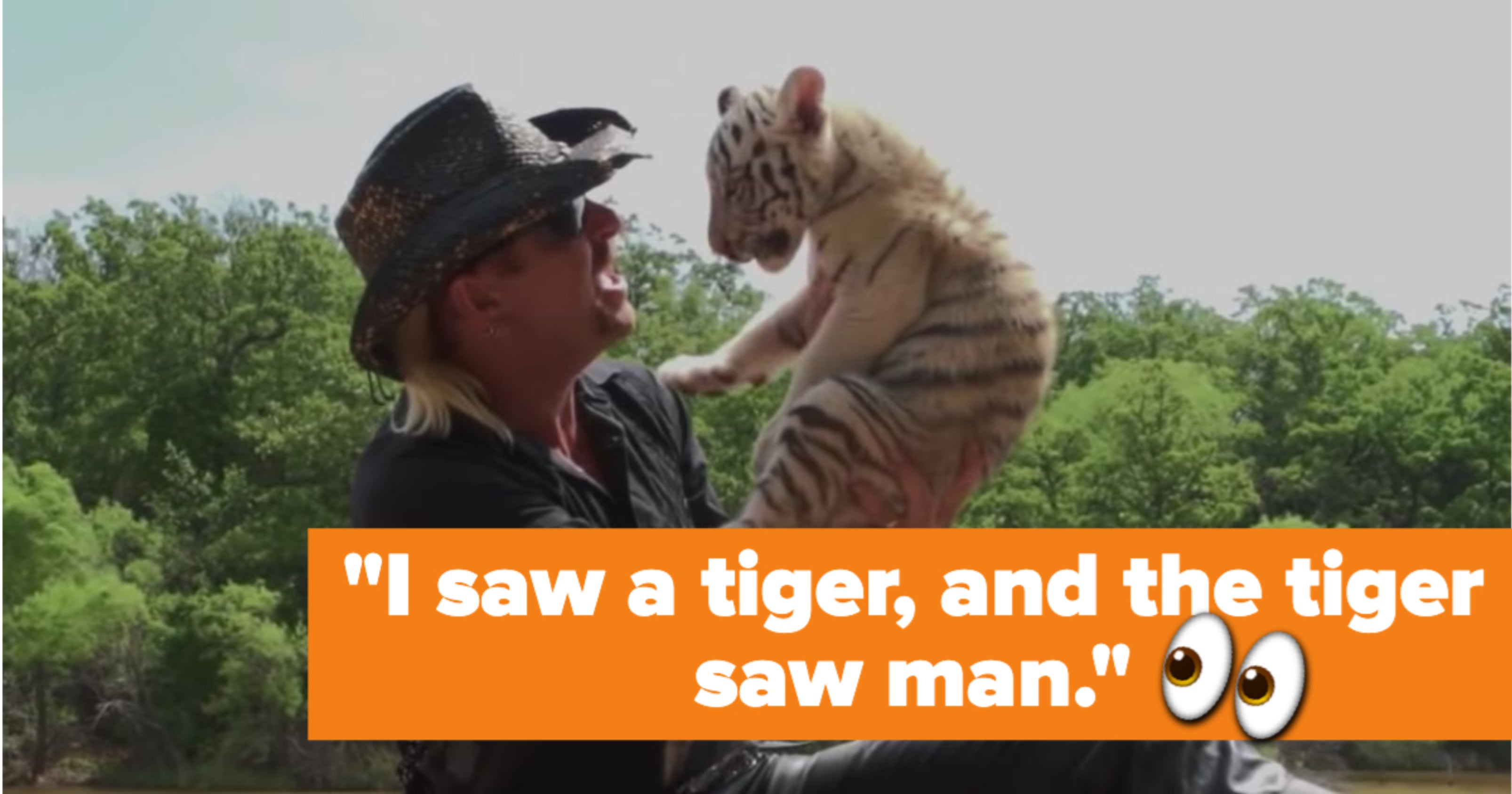 Which "Tiger King" Quote Is Real And Which Is Fake?
