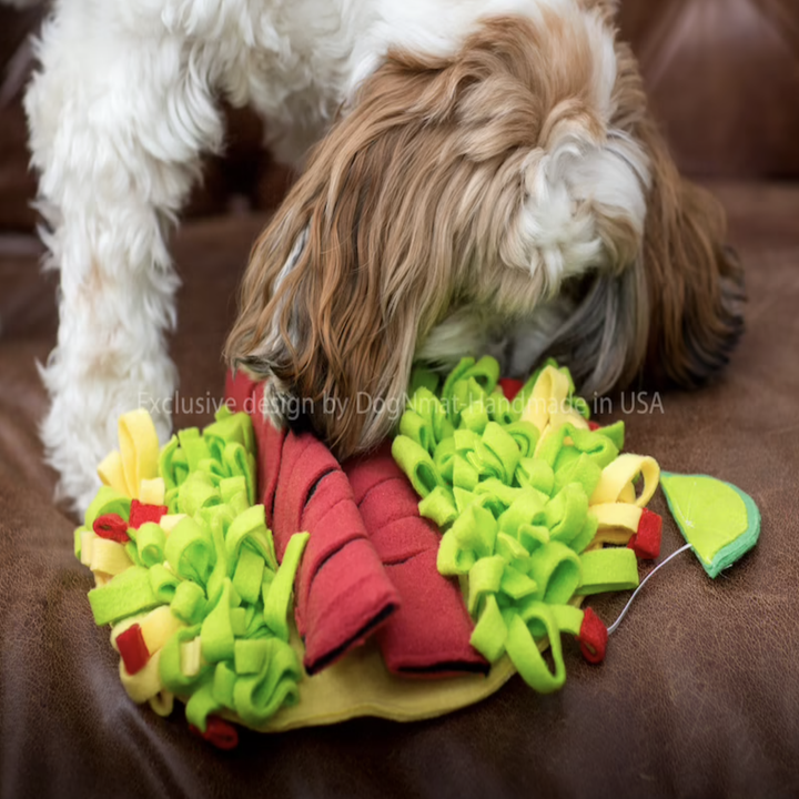 33 Pet Toys That Reviewers Say Their Pets Love